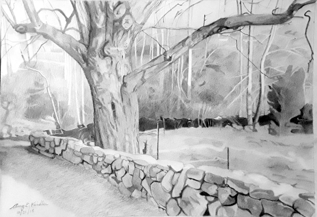 The Franklin Gallery to feature works by Amy Kindler - The Rochester Post