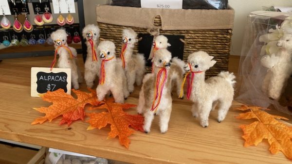 'Shop Alpaca and Things' opens at The Ridge - The Rochester Post