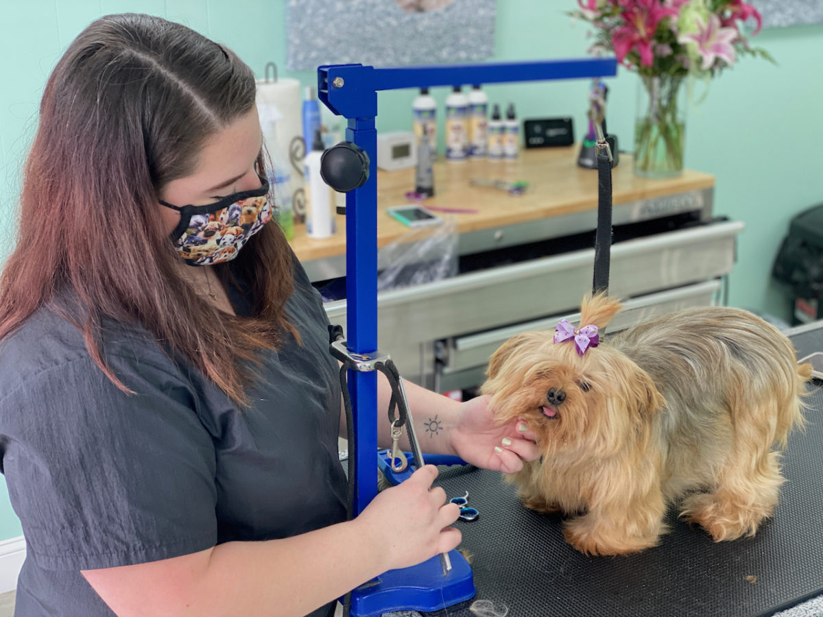 La Pooch Dog Spa opens on Wakefield Street - The Rochester Post