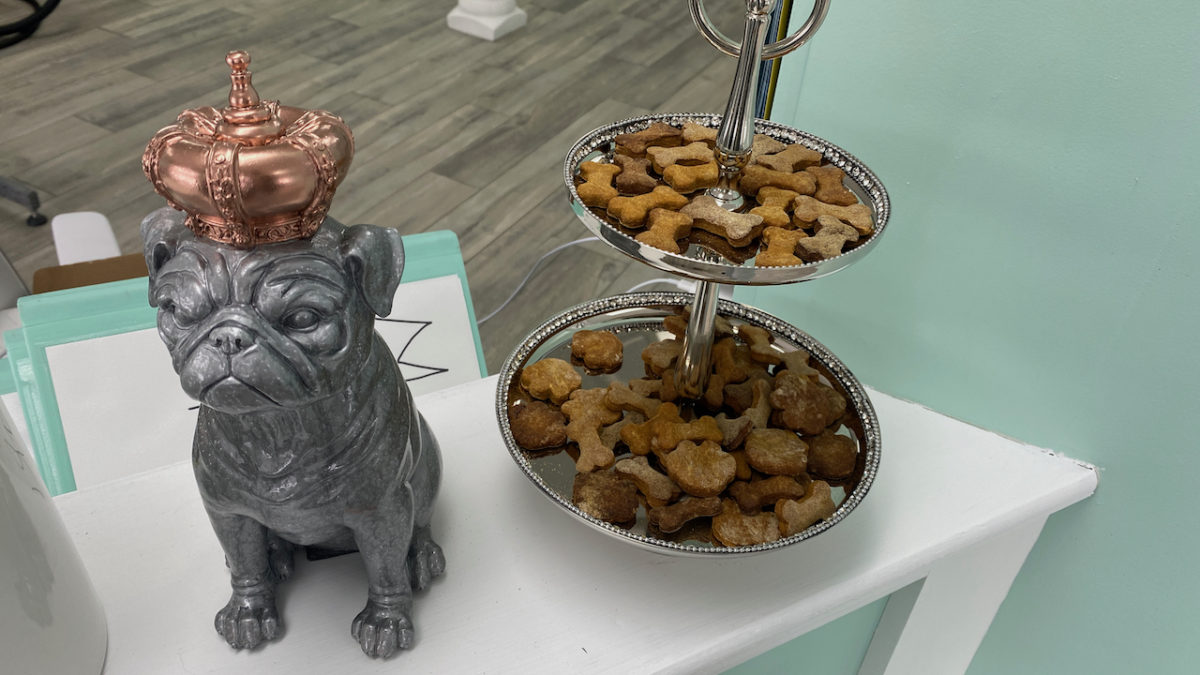 La Pooch Dog Spa opens on Wakefield Street - The Rochester Post