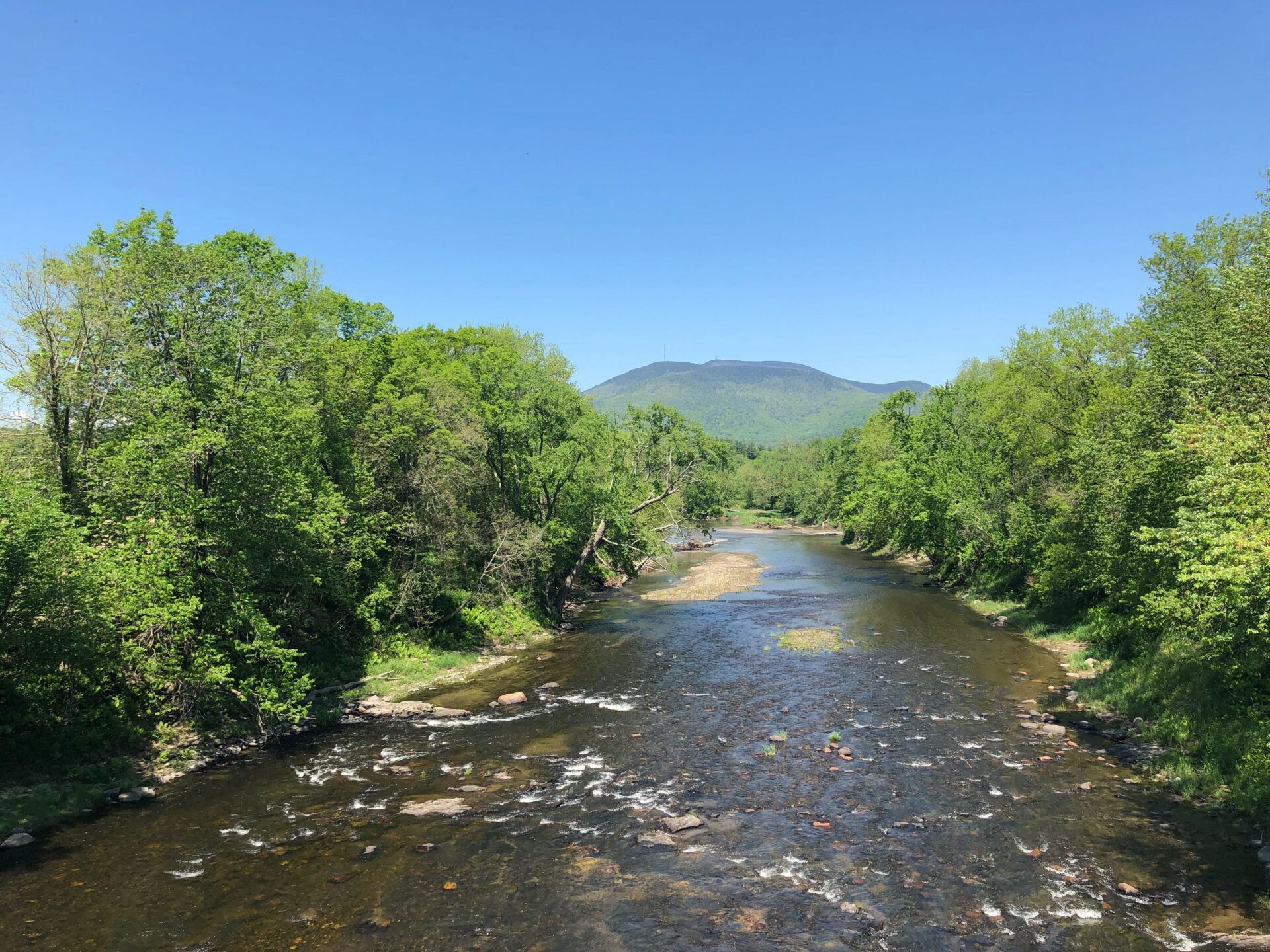 Conservation Moose Plate Grant Funds Available - The Rochester Post