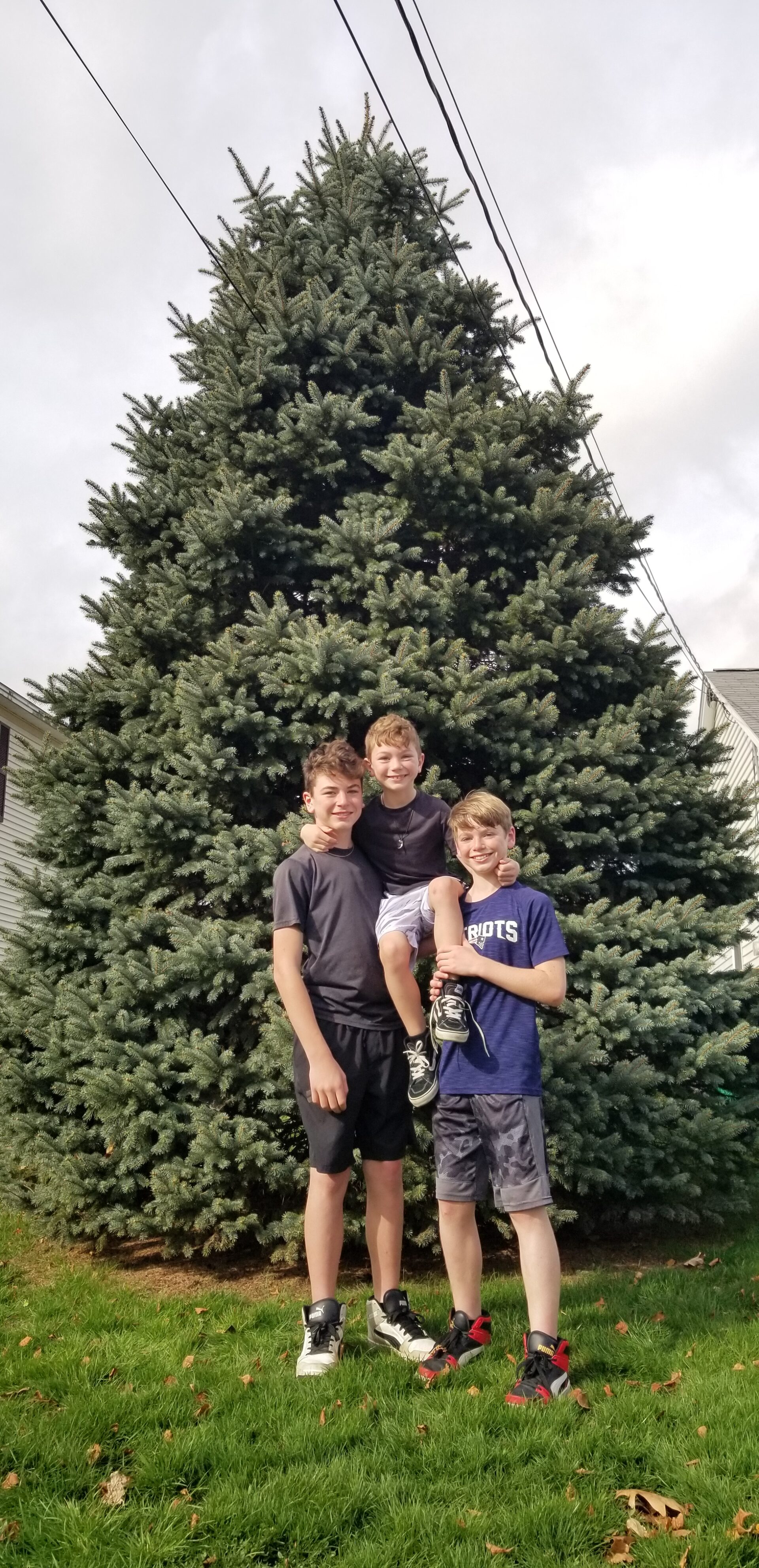 2022 Christmas Tree installed in Central Square - The Rochester Post