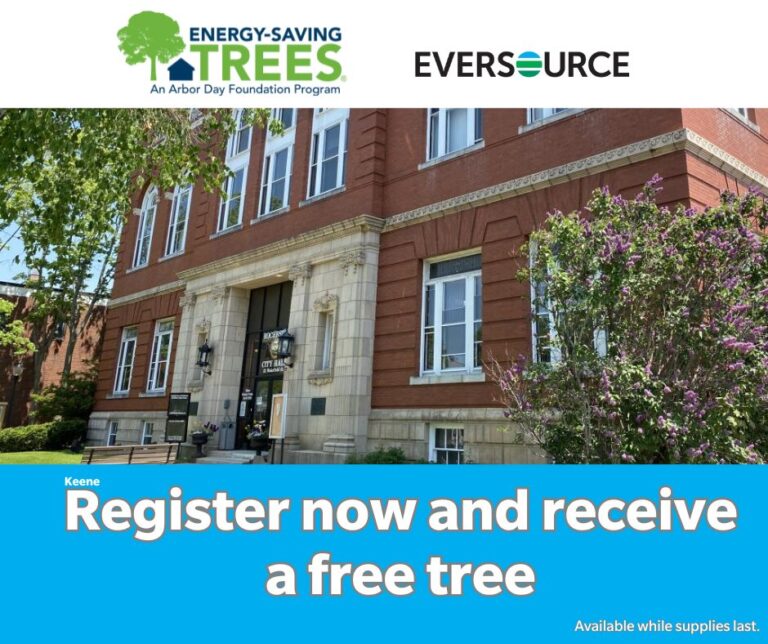 City of Rochester Partners with Eversource for Free Tree Giveaway to celebrate Arbor Day - The ...
