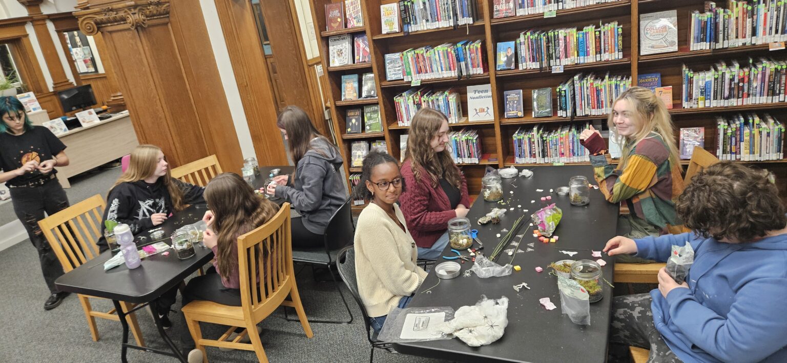 Rochester Public Library Teen Room Announces November Events and ...