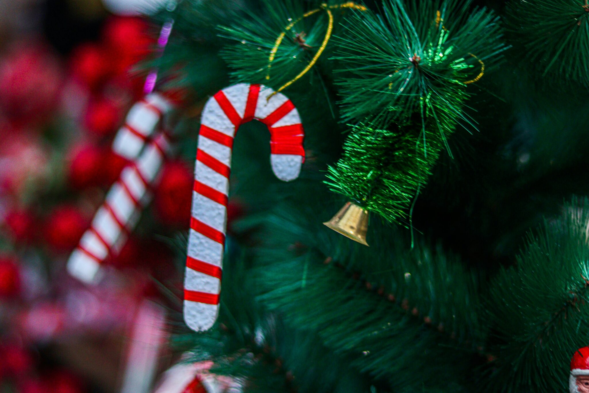 Municipal Offices CLOSED for Christmas and New Years, trash and ...