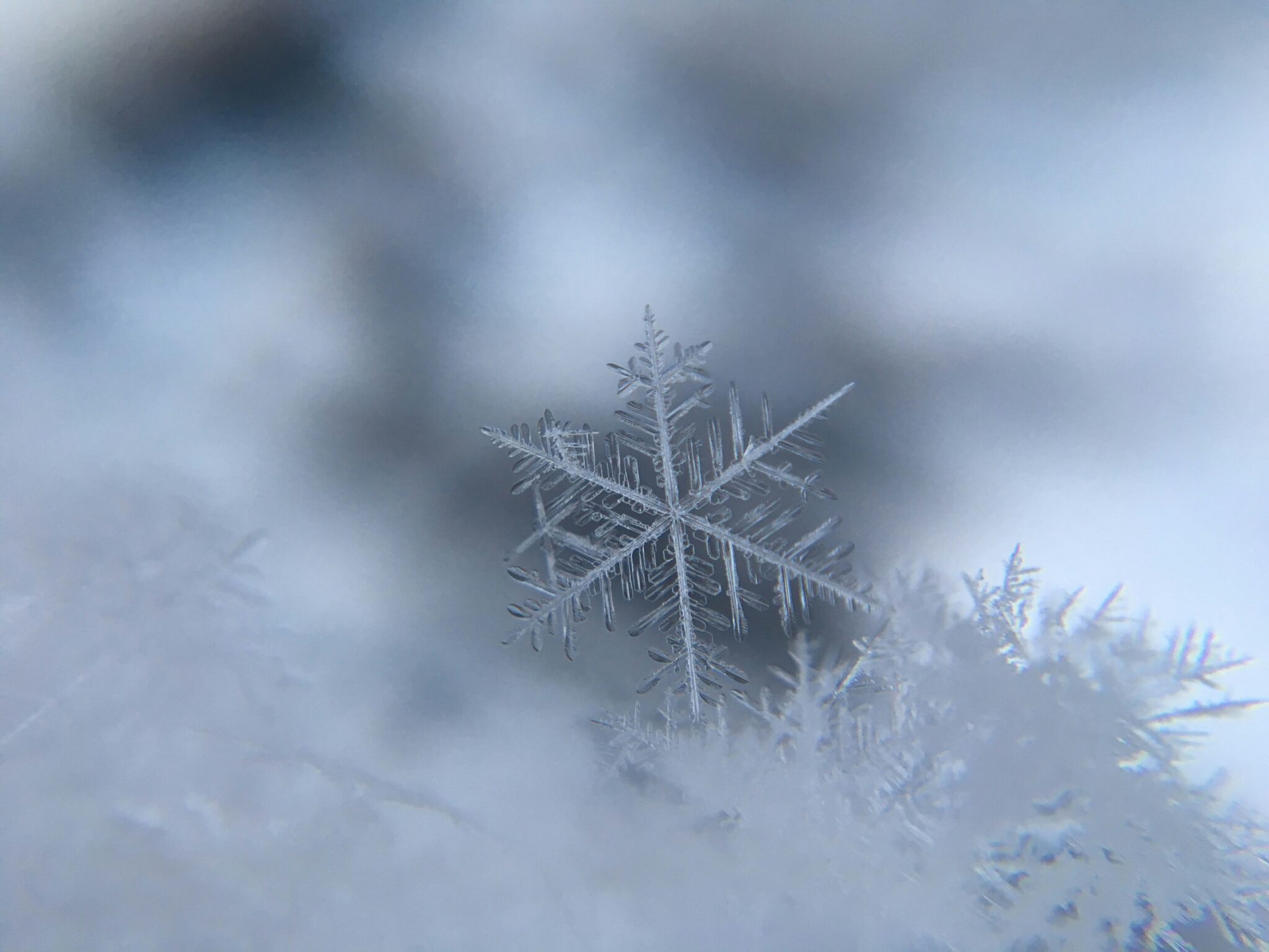 All City Offices Closed on Monday, January 26, 2026 Due to Predicted ...
