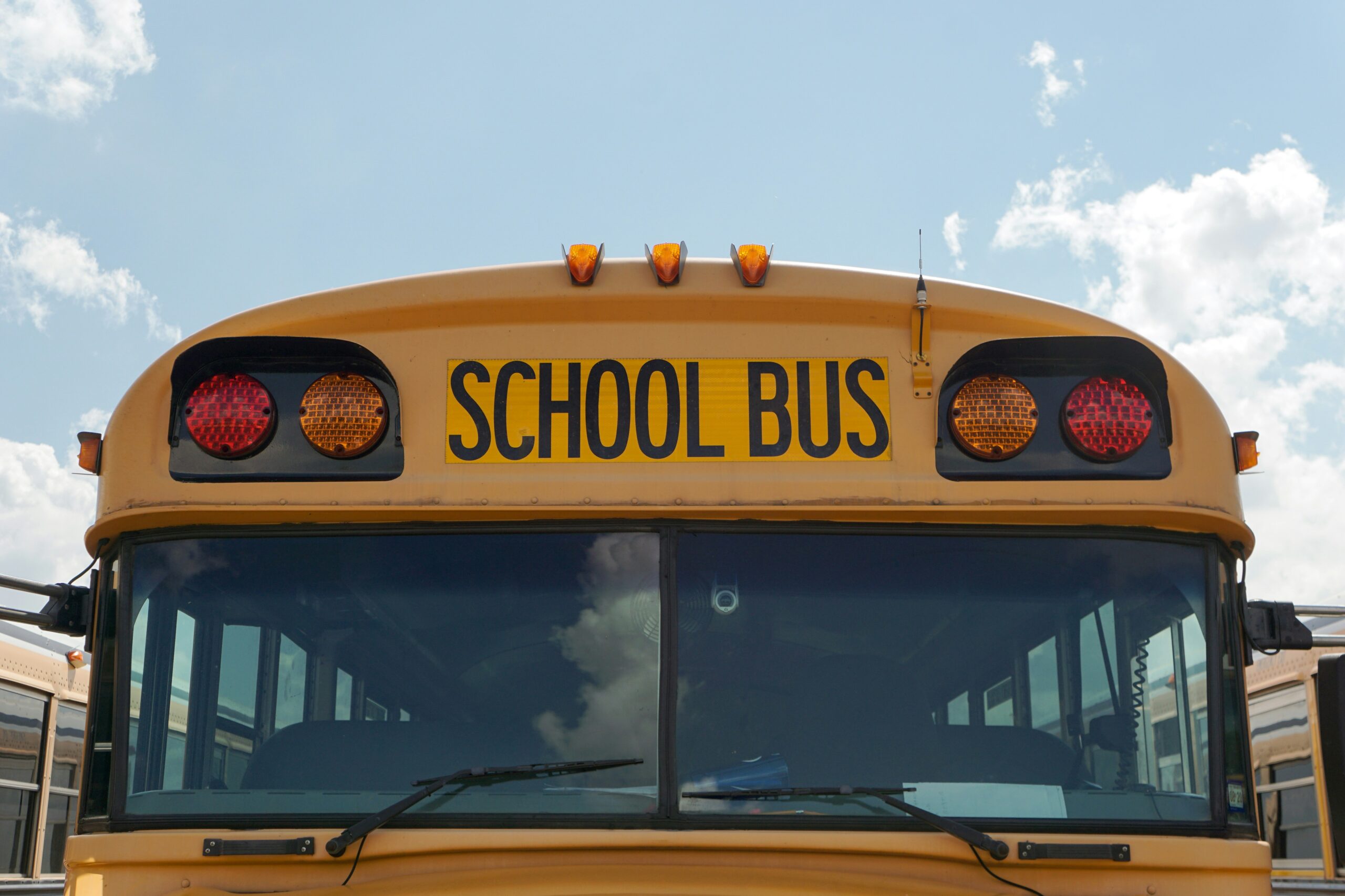 Rochester School District: School Bus Safety Reminders for Families ...