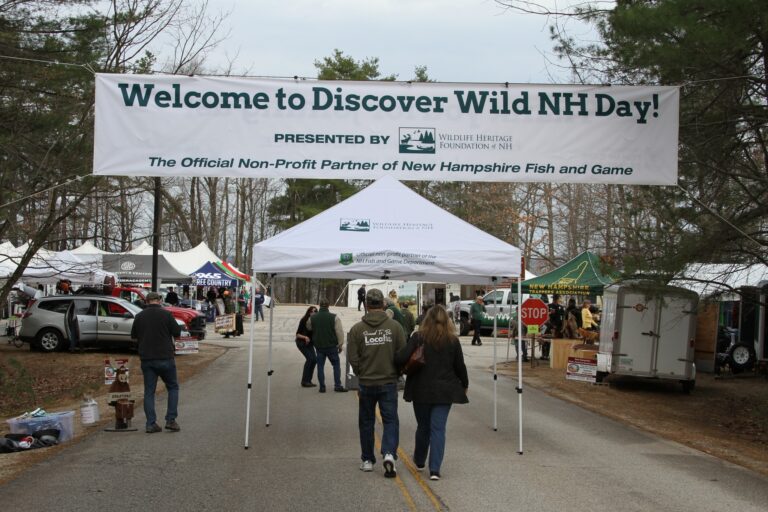 NH Fish and Game: Annual Discover Wild New Hampshire Day Set for April ...